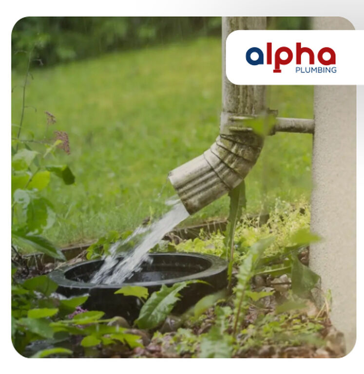🛡 Top 17 Expert Tips for Rainwater Harvesting in… | Alpha Plumbing
